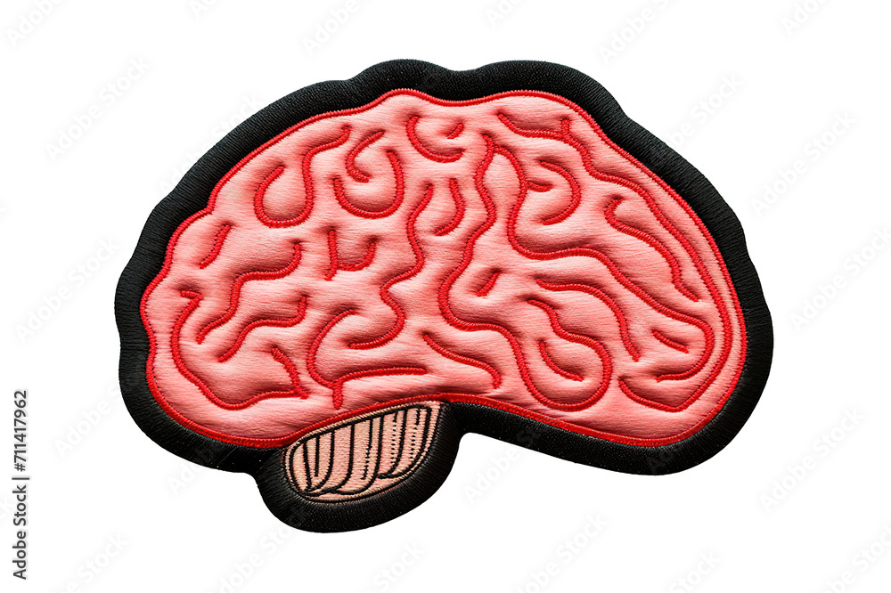 Structure of human brain section schematic raster illustration. Medical ...