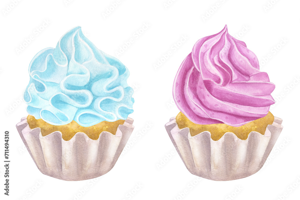 Cupcake muffin pink blue cream. Gender reveal party, baby shower. Sweet ...