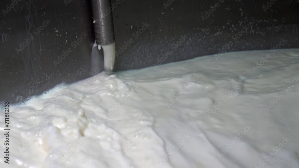 Milk Pasteurization in Dairy Processing Plant. Safety of Milk and Dairy ...
