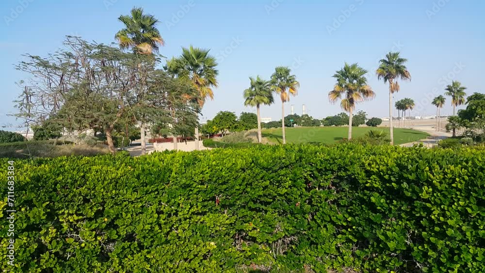 natural landscape green colour plant and grass. neem tree, palm tree ...