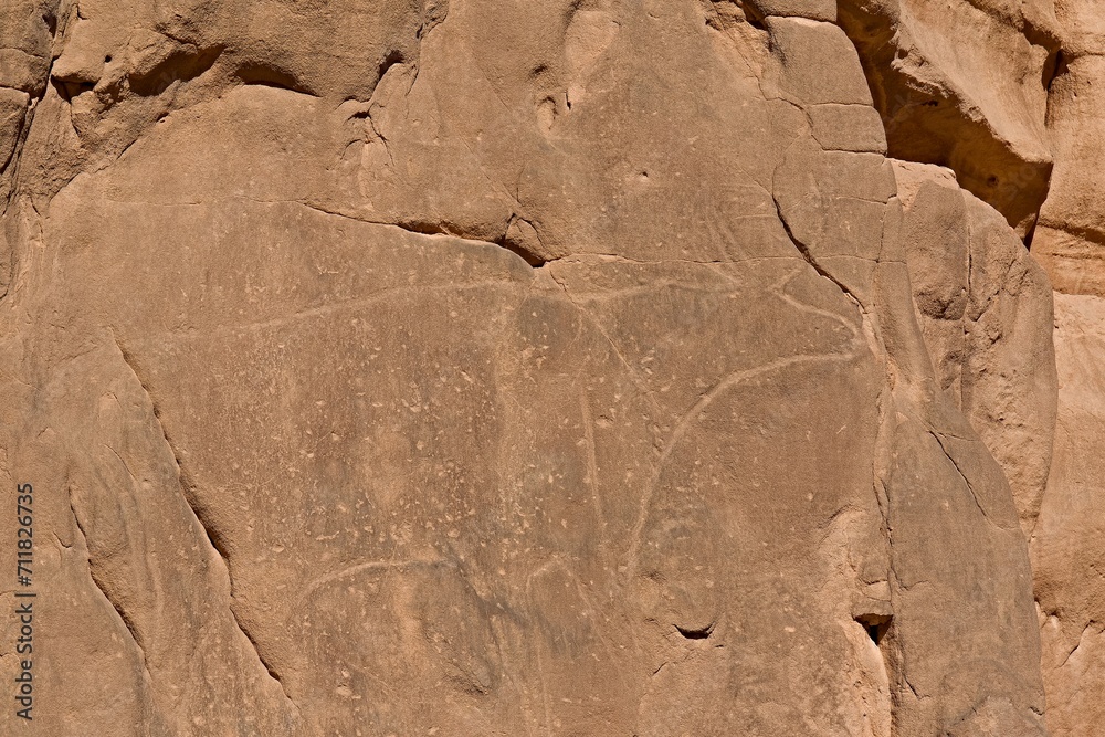 Rock art from the Neolithic period, depictions are buffalo, in Tadrart ...