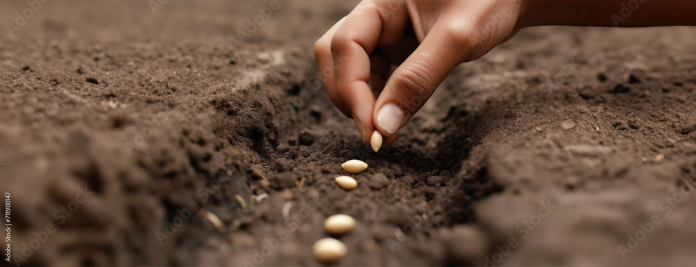 Careful Planting for Agricultural Growth. Spring work in garden at ...