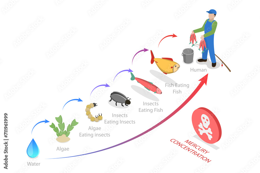 3D Isometric Flat Conceptual Illustration of Biomagnification ...