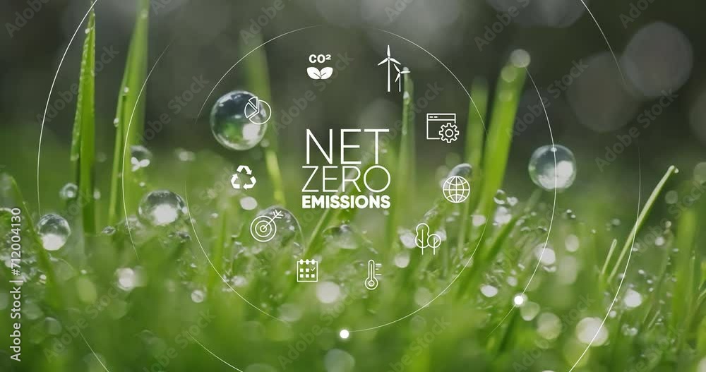 Net zero and carbon neutral concept.Globe Glass with Net zero icons infographic. Net zero ...