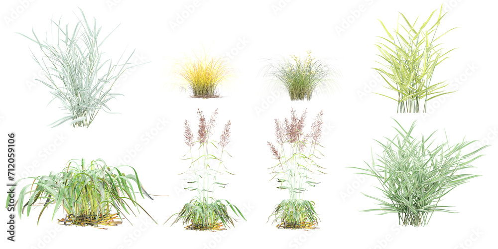Jungle Switchgrass,Lovegrasses,Lemongrass,Forsythia Plant shapes cutout ...