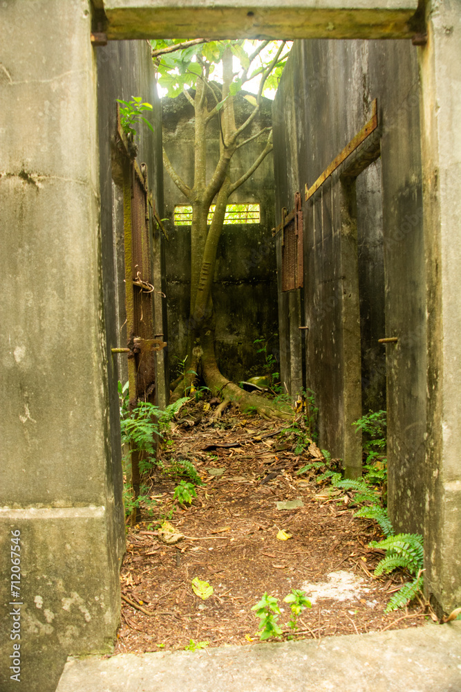 Fiji Leper Colony Buildings and Ruins Makogai Island, Fiji Stock Photo ...