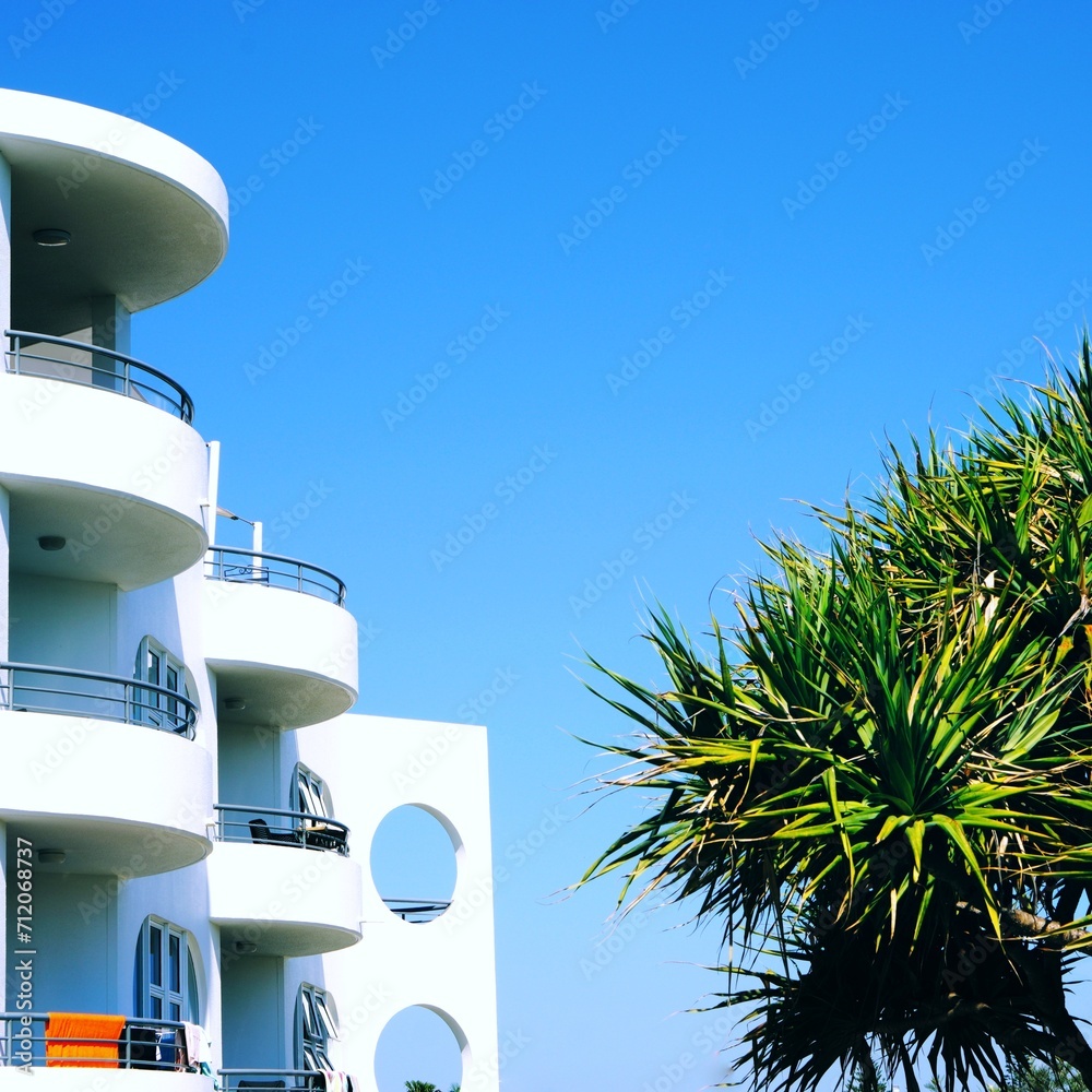 Tropical beach-style Australian architecture with cabbage tree palm in ...