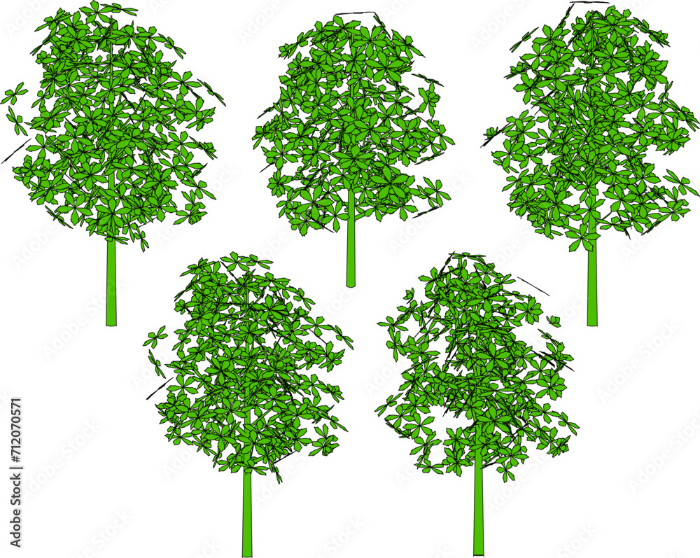 Vector sketch illustration of tree plant design with flowers Stock ...