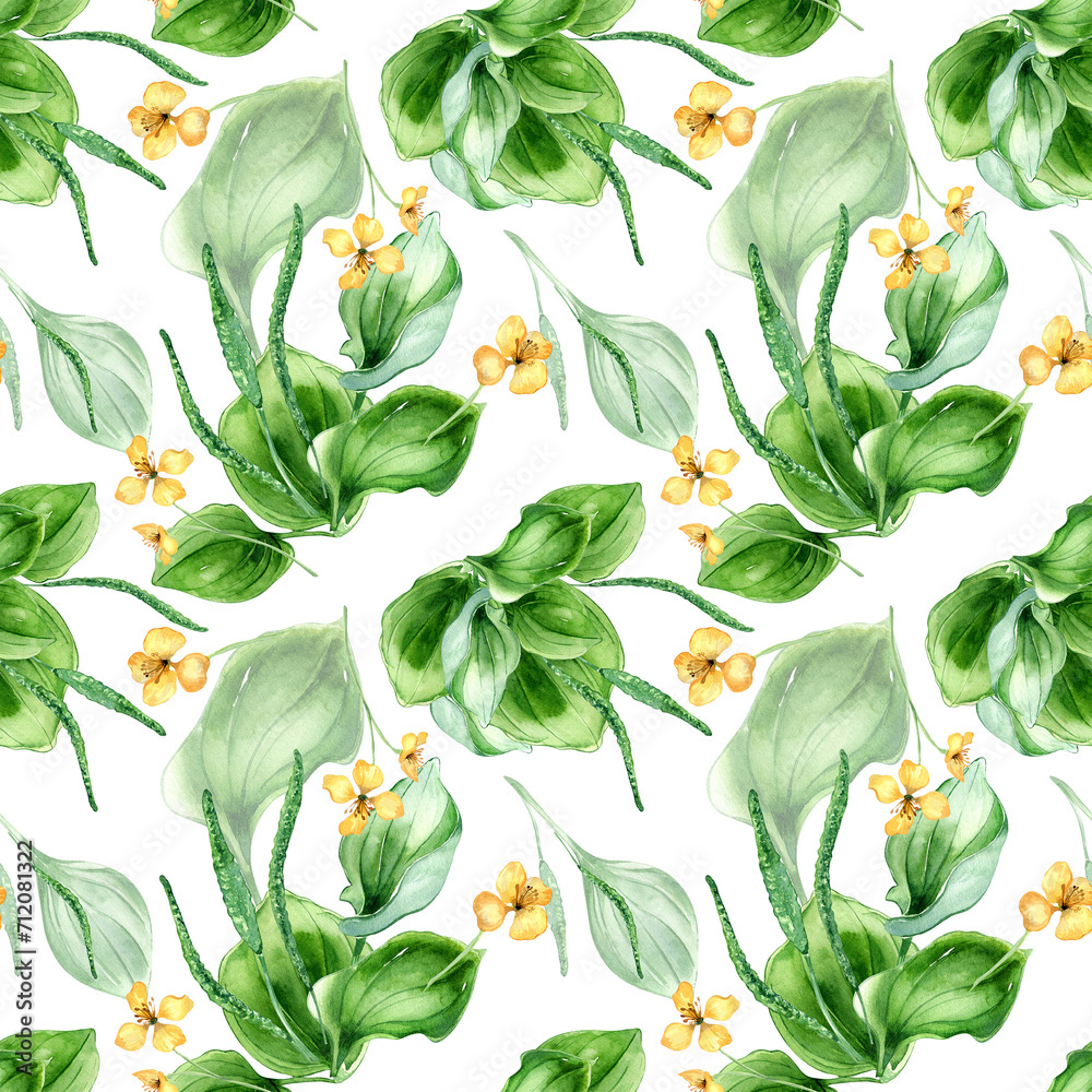 Plantago broadleaf, celandine watercolor seamless pattern isolated on ...