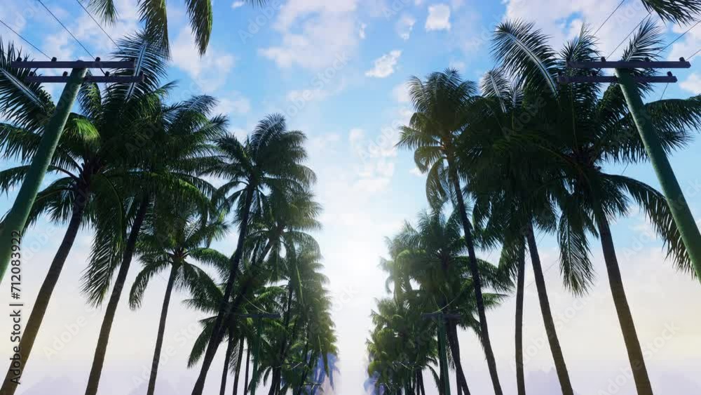Coconut Tree Plant On Summer Village is motion footage for art retro ...