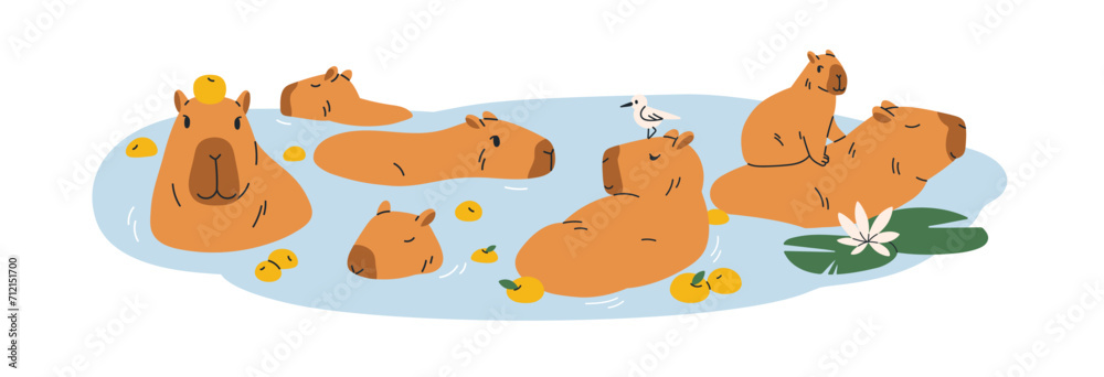 Cute capybaras bathing in water. Funny capibaras swimming in pond ...