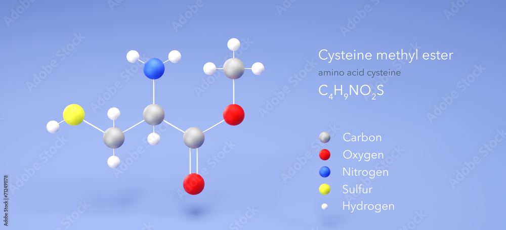 cysteine methyl ester molecule, molecular structures, amino acid ...