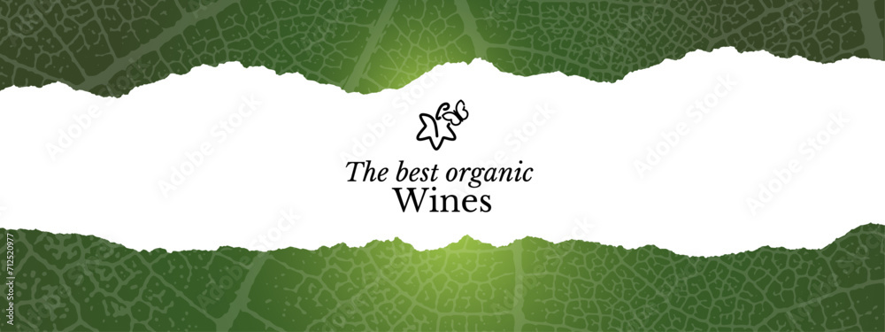 Horizontal banner with vine leaf texture. Natural textured template ...