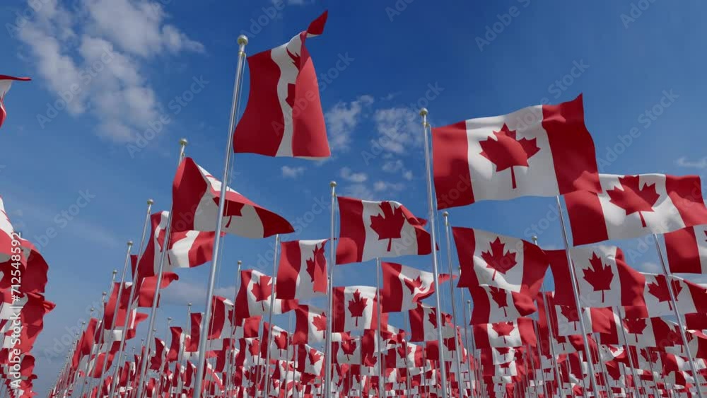 Waving flags of Canada. High resolution digital render of flags. Video ...