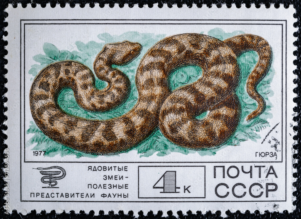 Soviet Union, circa 1977 : USSR post stamp from the Animals series.With ...