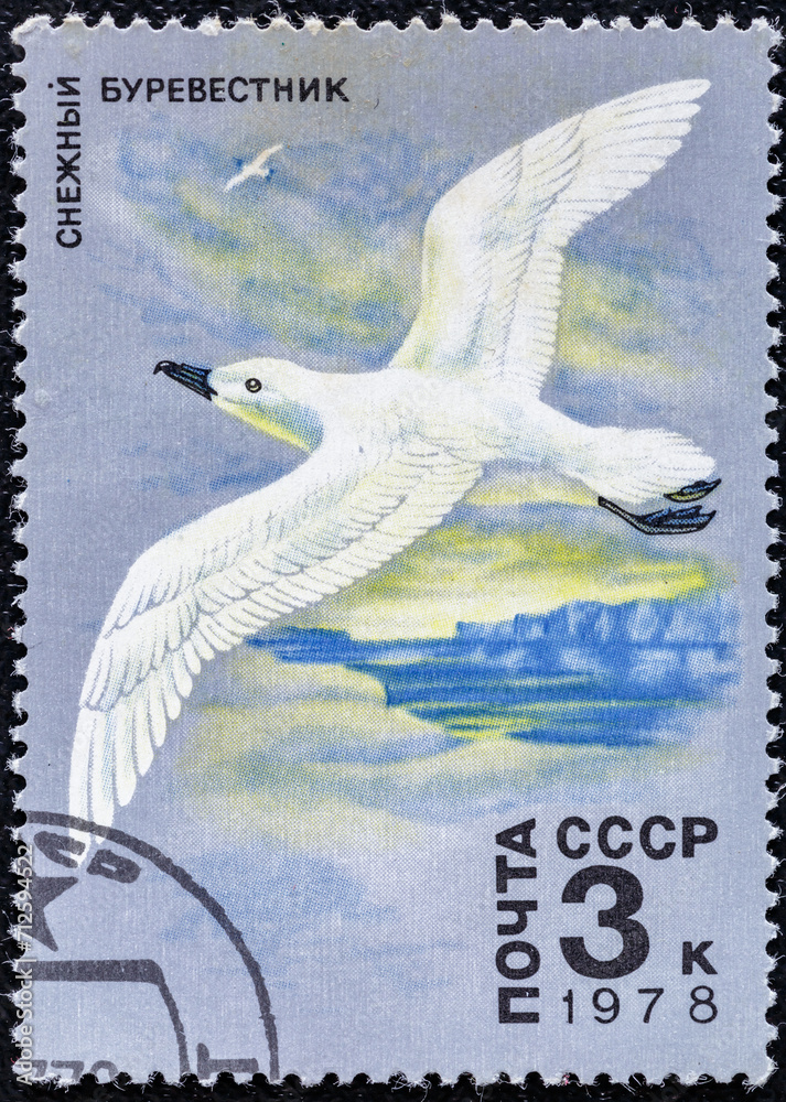 Soviet Union, circa 1978 : USSR post stamp from the Arctic Animals ...