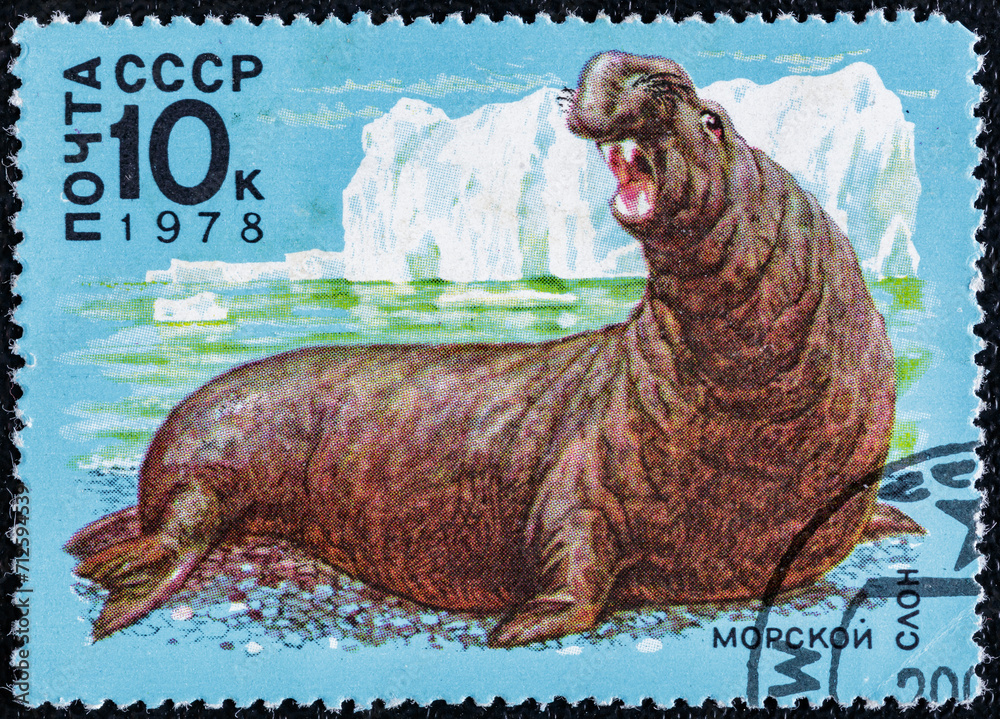 Soviet Union, circa 1978 : USSR post stamp from the Arctic Animals ...