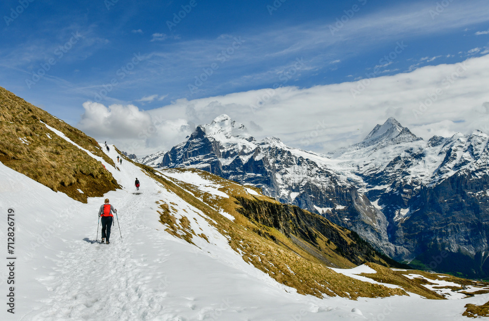 Scene with hikers walking the alpine paths of the Bachalpsee Lake Trail ...