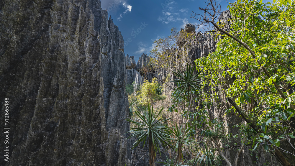 Tsingy De Bemaraha Nature Reserve. Grey karst limestone cliffs with ...