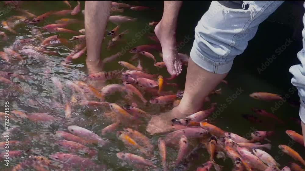 Tilapia fish therapy is a therapy using tilapia fish as a medium for ...