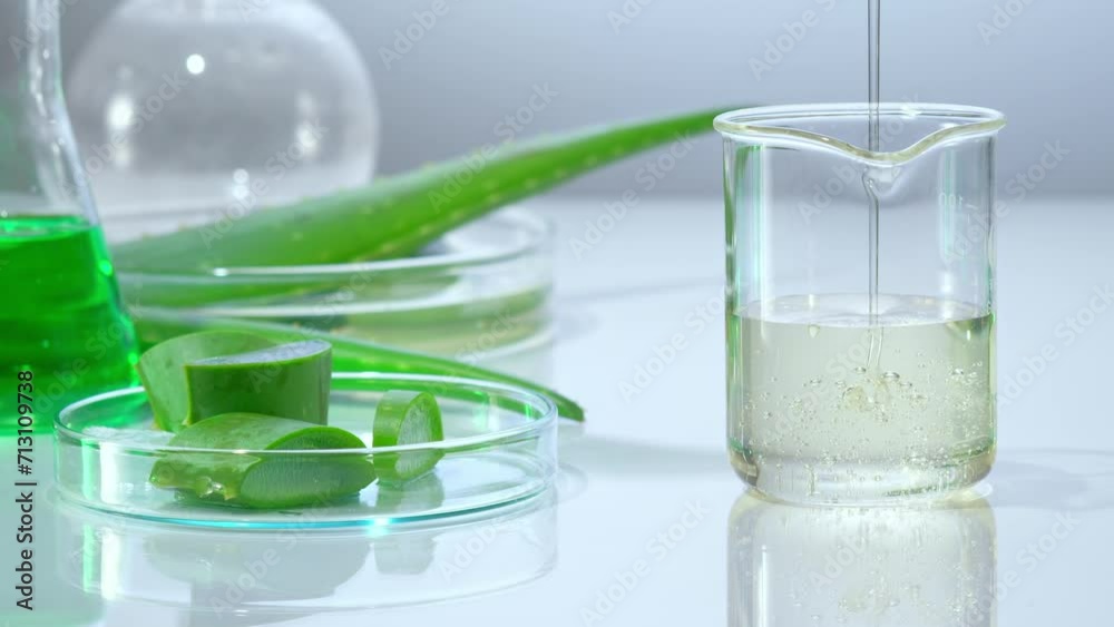 Aloe vera gel is poured into a beaker, fresh aloe vera is displayed on ...
