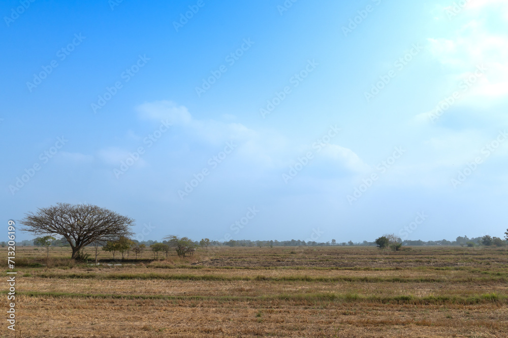 Landscape view of fields are dry and the harvest season is over. With ...