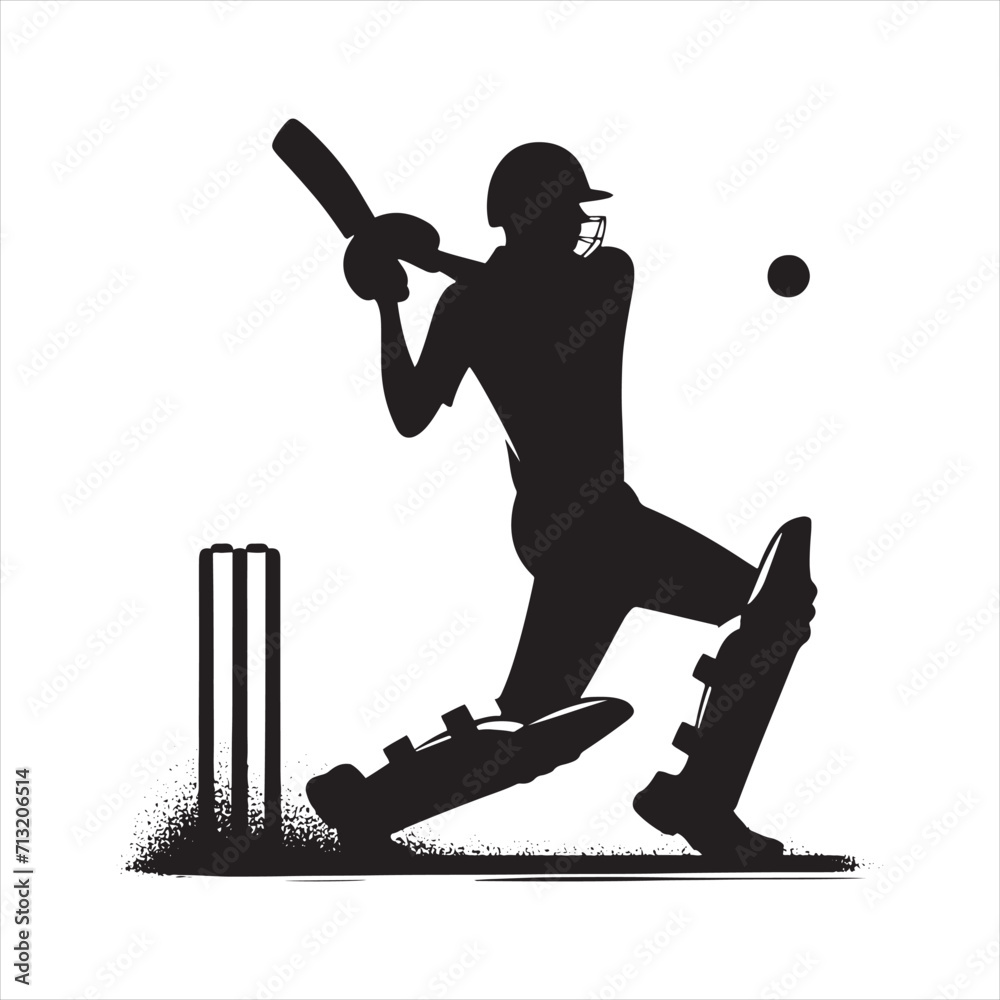Dynamic Cricket Symphony: A Collection of Cricketer Silhouettes ...