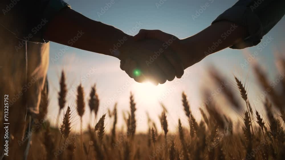 Handshake close-up in an agricultural field. teamwork. shaking hands to ...