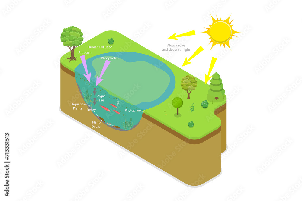 3D Isometric Flat Conceptual Illustration of Eutrophication, Euphotic ...