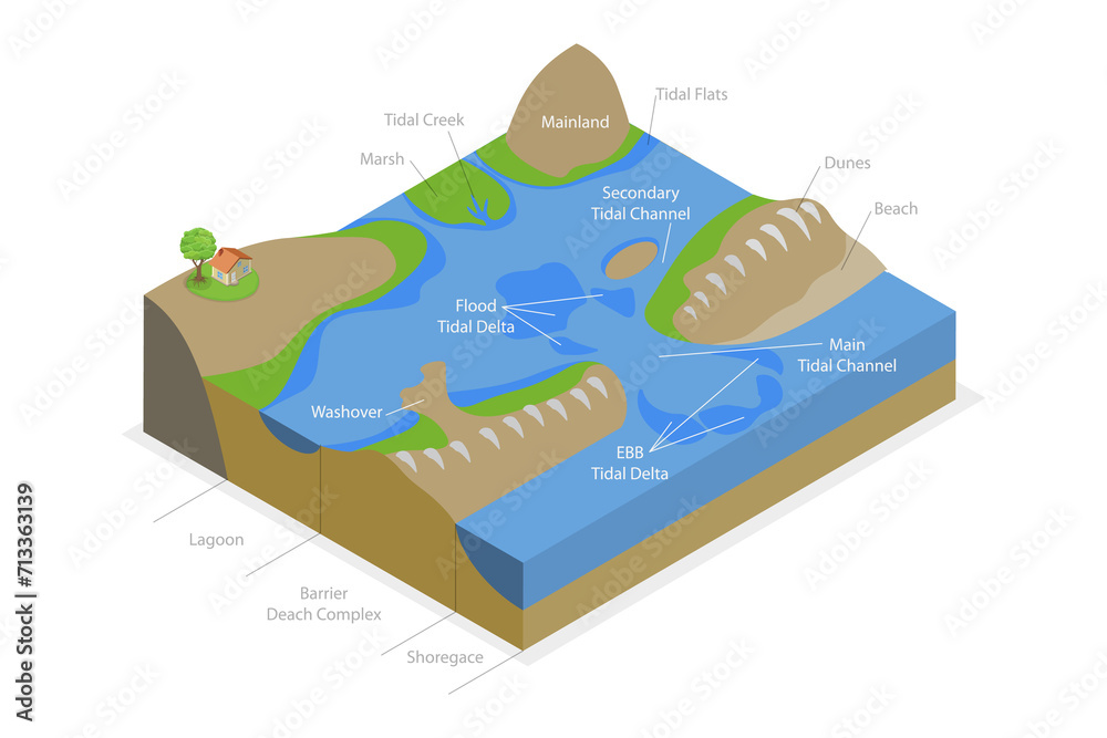 3D Isometric Flat Conceptual Illustration of Barrier Island System ...