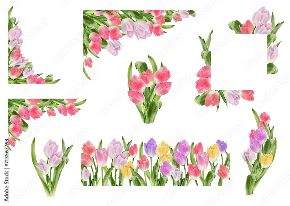 Tulip border clipart. Spring flowers. Seamless border, bouquet, corner ...