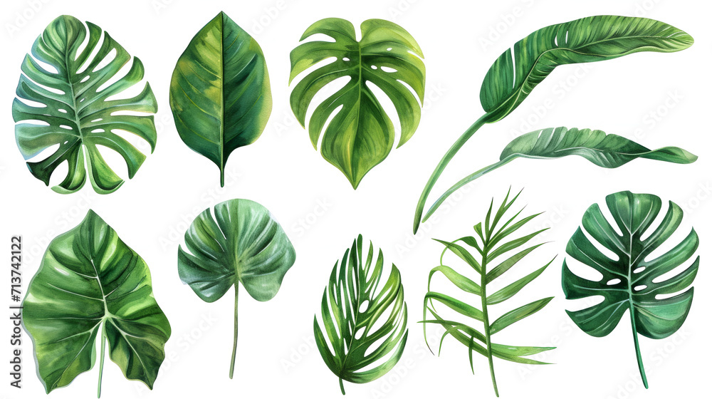 Set Collection Watercolor tropical leaves Modern green tropical leaves ...