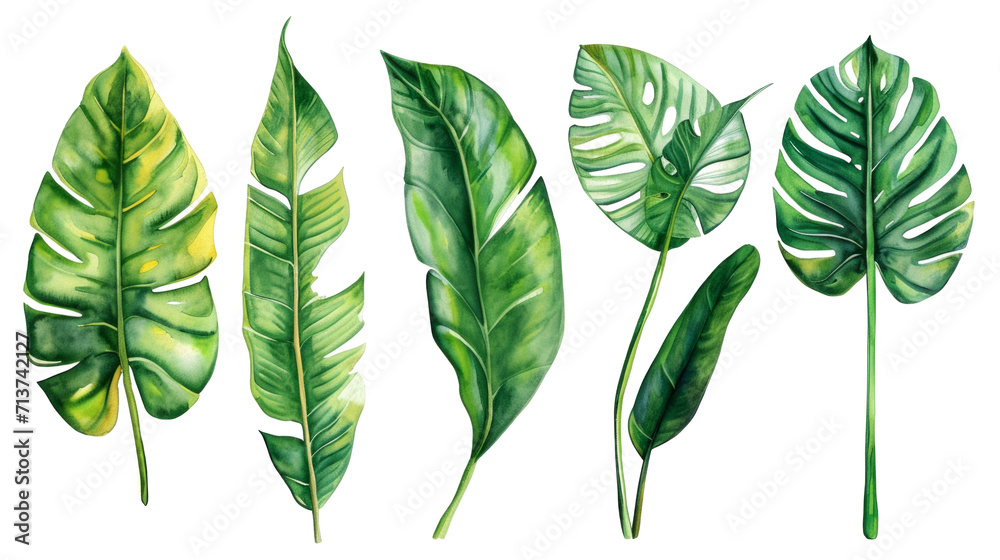 Set Collection Watercolor tropical leaves Modern green tropical leaves ...
