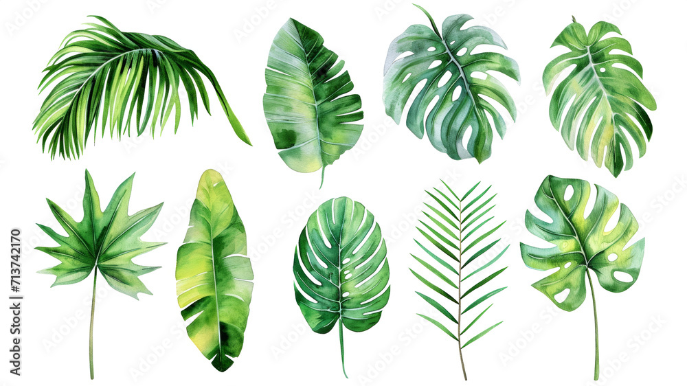 Set Collection Watercolor tropical leaves Modern green tropical leaves ...