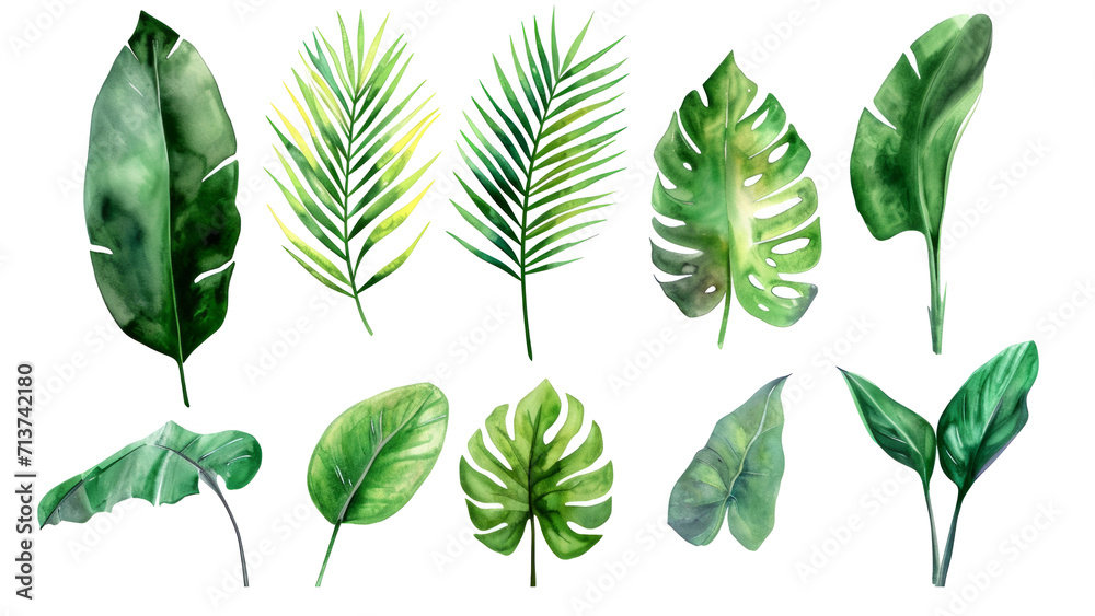 Set Collection Watercolor tropical leaves Modern green tropical leaves ...