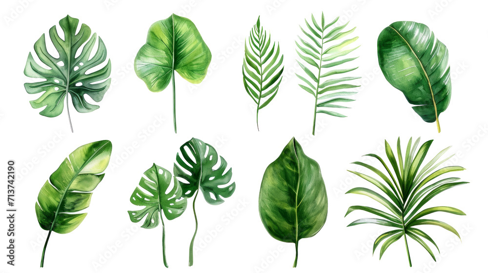 Set Collection Watercolor tropical leaves Modern green tropical leaves ...