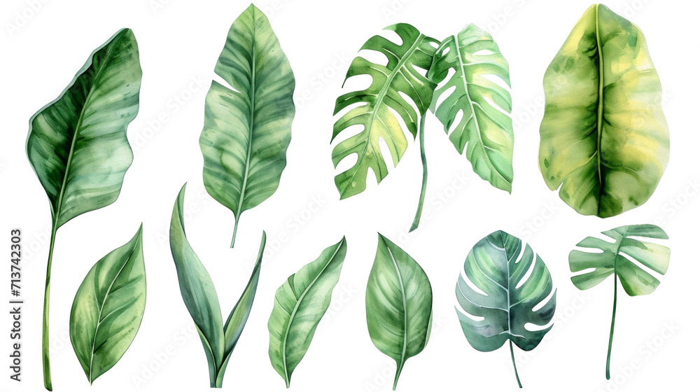 Set Collection Watercolor tropical leaves Modern green tropical leaves ...