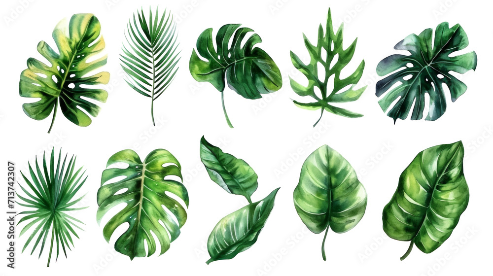Set Collection Watercolor tropical leaves Modern green tropical leaves ...