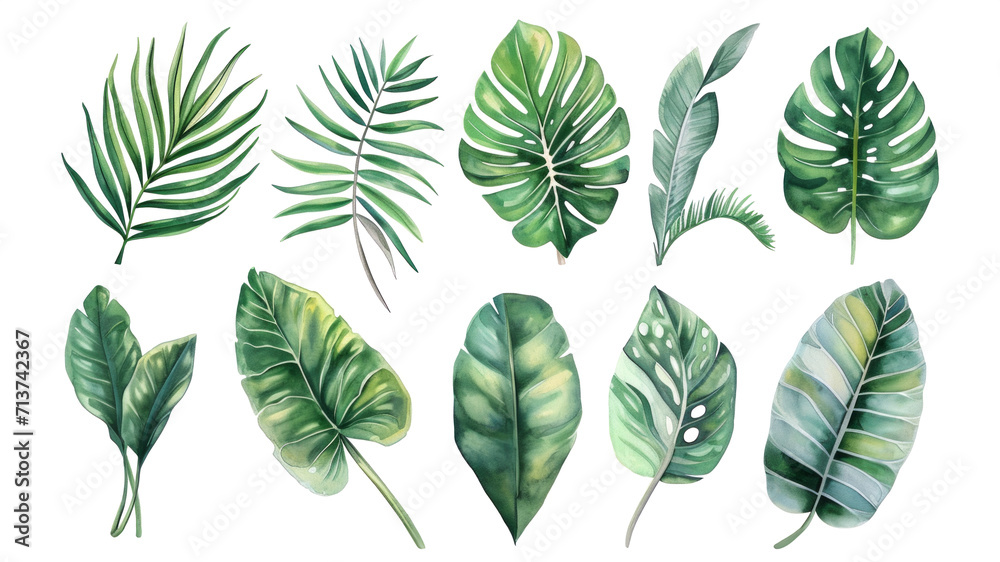 Set Collection Watercolor tropical leaves Modern green tropical leaves ...