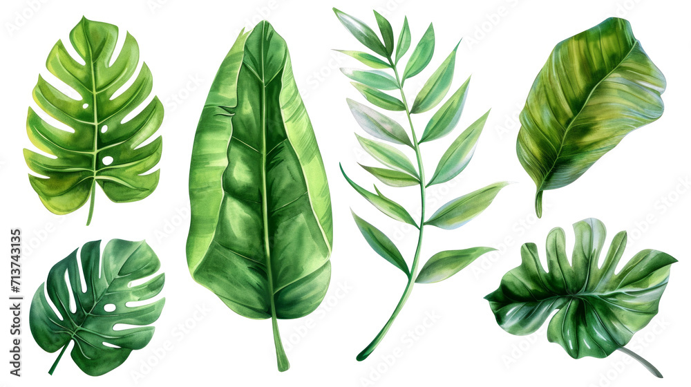 Set Collection Watercolor tropical leaves Modern green tropical leaves ...