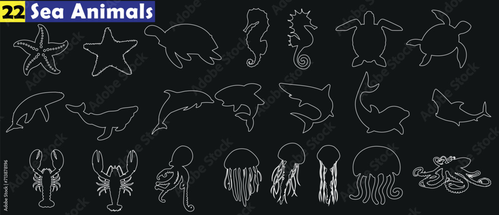 Sea Animals Vector Art, 22 unique marine creatures outlines including ...