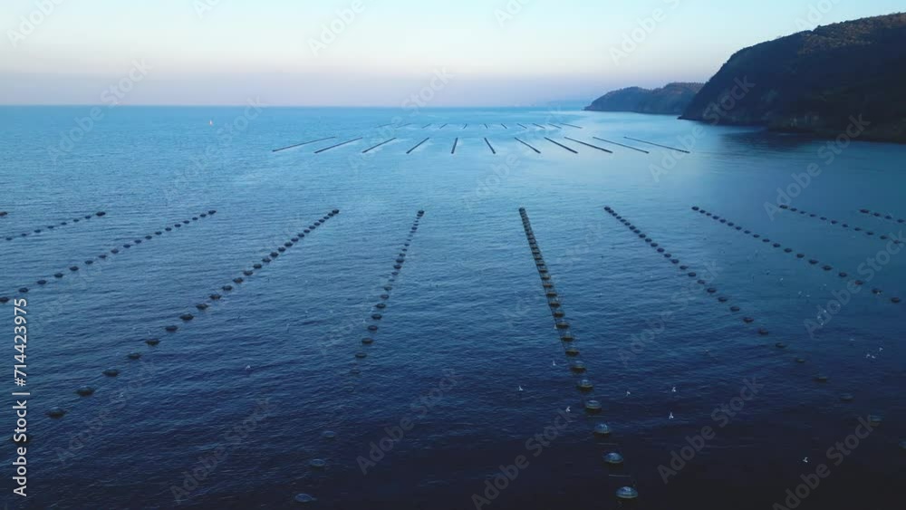 A facility of open sea fish farming is located on the Marmara Sea ...