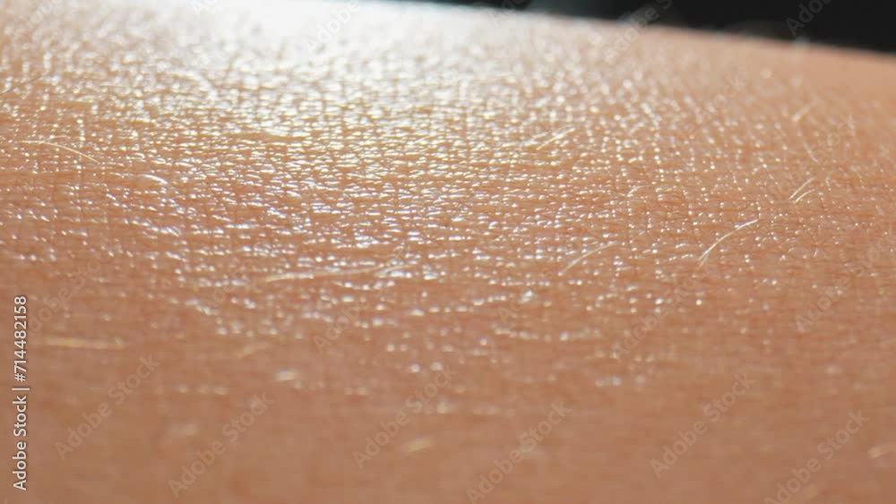 Vidéo Stock Examining arm skin in close-up detail through macro footage ...