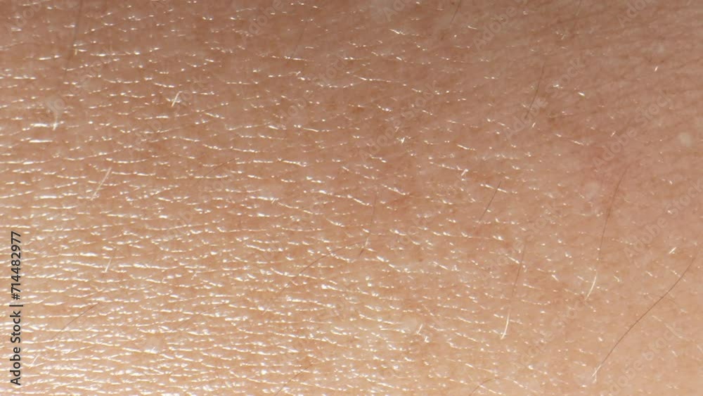 Intricate arm skin, captured macroscopically, reveals a mesmerizing ...