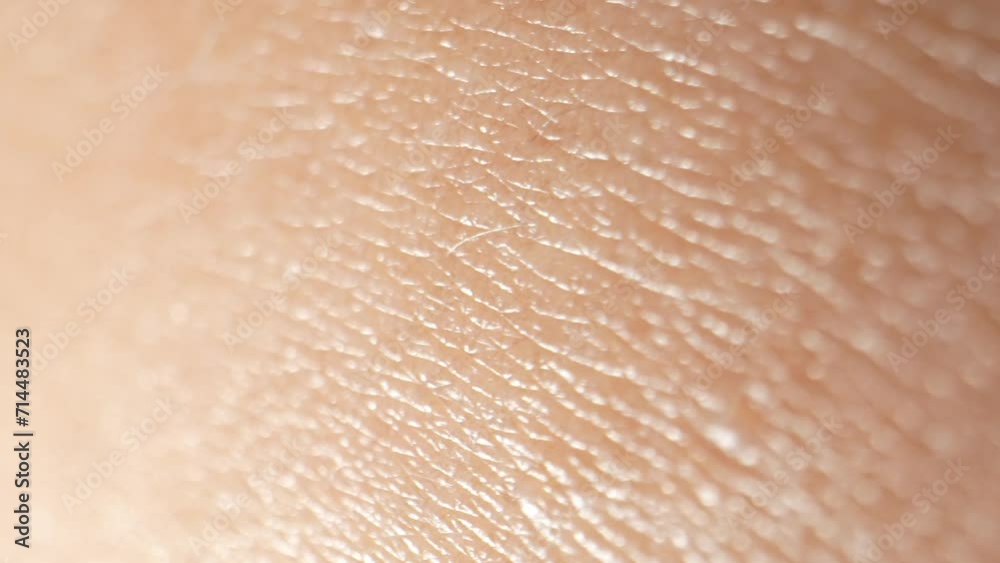 Zooming in on arm skin, witness a world of textures, from fine wrinkles ...