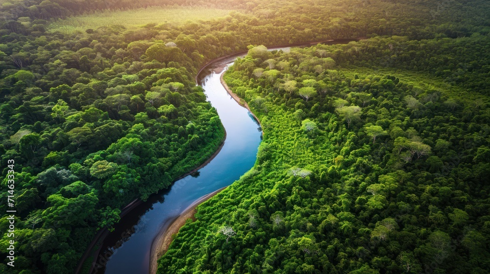 an aerial view of a river in the middle of a lush green forest with a ...