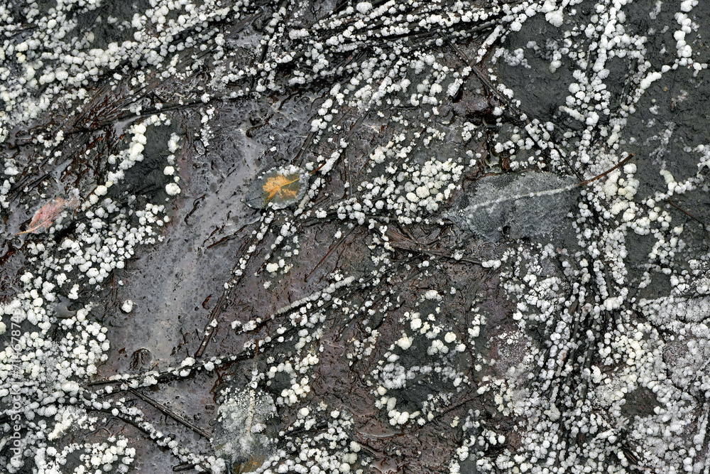 Oil-contaminated soil with deposits of salt and ozokerite near old oil ...