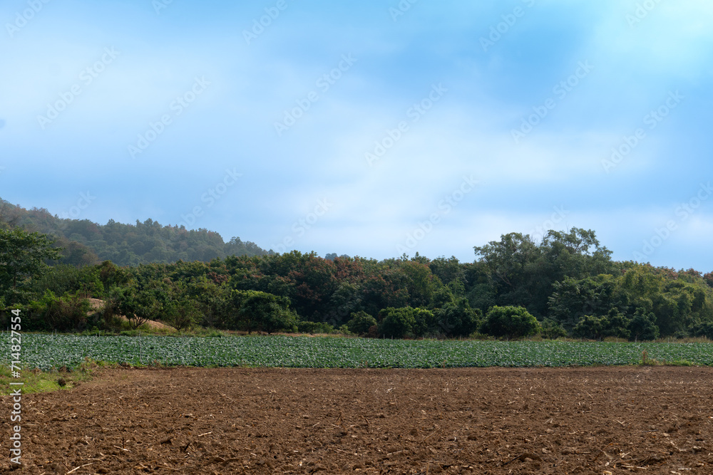 Landscape view of area prepared for planting by plowing the soil. Next ...
