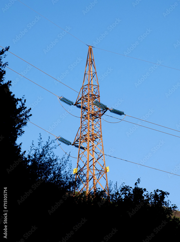 Supporting structure of an electric pylon in a wooded area Stock Photo ...