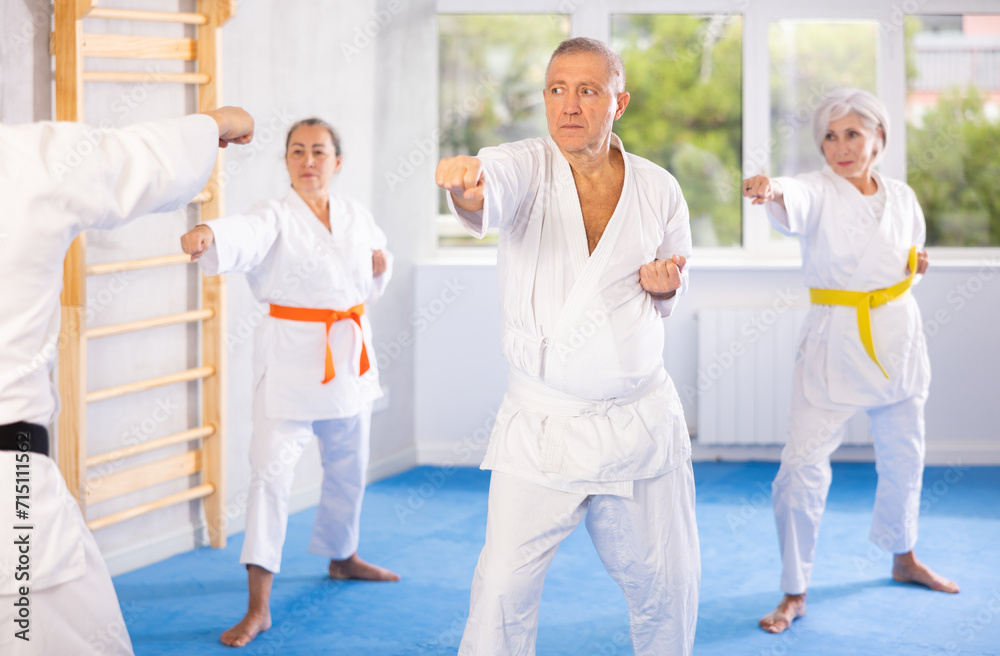 During kata karate training, senior male and female students repeat ...